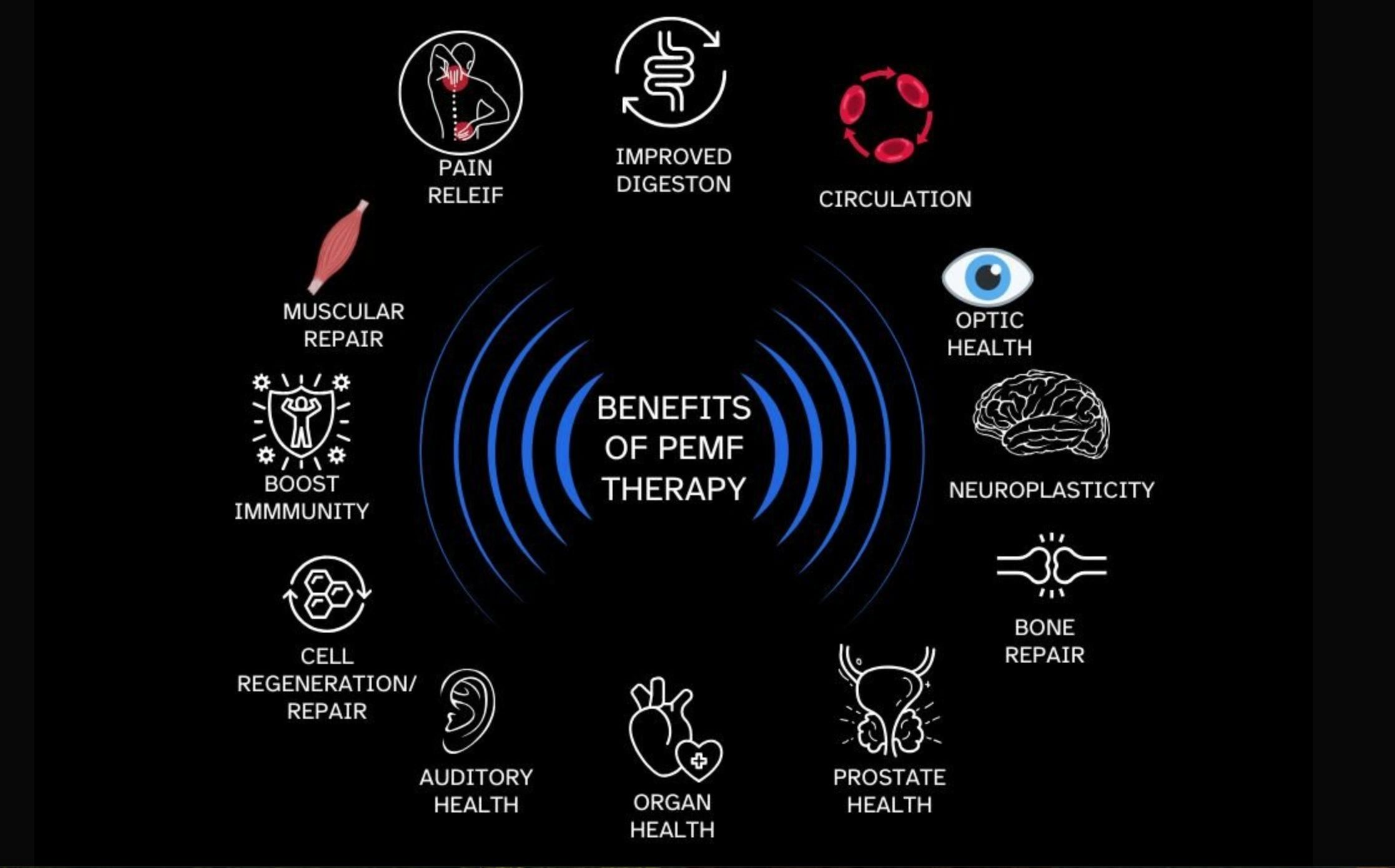 PEMF Therapy: The Overlooked Wellness Element Your Body Needs